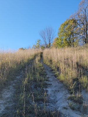 BENDER PARK - Updated August 2025 - 70 Photos & 14 Reviews - 4503 E ...