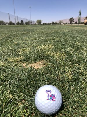 ASCARATE GOLF COURSE - Updated December 2025 - 27 Photos - 6900 Delta ...