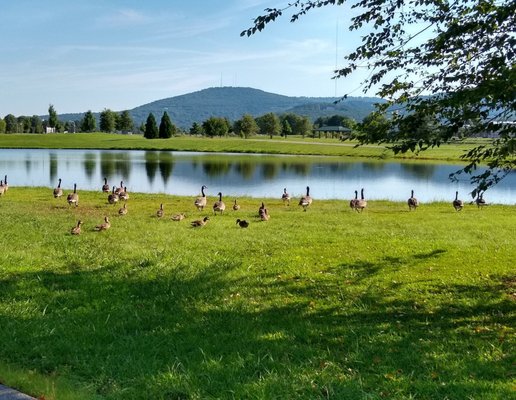 JONES FARM PARK - Updated October 2025 - Carl T Jones Dr, Huntsville ...