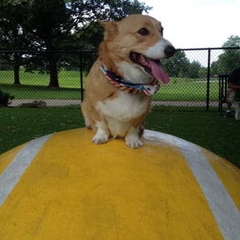 BEAU’S DREAM DOG PARK - Updated December 2025 - 20 Photos & 15 Reviews ...