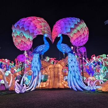 STOCKTON LANTERN FESTIVAL MAGIC FOREST - Updated October 2025 - 62 ...