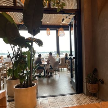 MACANDA - Updated October 2024 - 442 Photos & 175 Reviews - 294 Grove ...