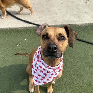 PETS R’INN - Updated December 2025 - 2800 S Columbia Rd, Grand Forks ...