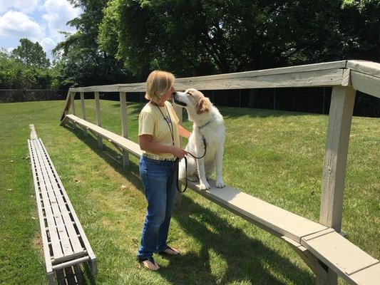 THE CALM COMPANION - Updated December 2025 - 11 Photos - 8671 McLean Ln ...