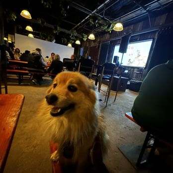 CENTRAL MACHINE WORKS BREWERY AND BEER HALL - Updated January 2025 ...