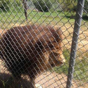 GREATER VANCOUVER ZOO - Updated July 2024 - 185 Photos & 68 Reviews ...