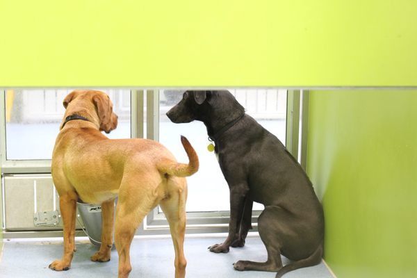 PVAS - LAURIE P. ANDREWS CENTER - 45 Photos - 2451 N US Expy 281 ...