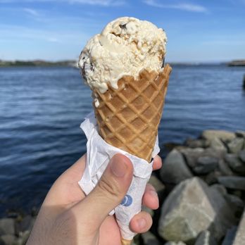 COWS - Updated January 2026 - 92 Photos & 83 Reviews - 1891 Upper Water ...