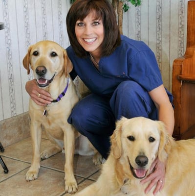 EAST DALLAS VETERINARY CLINIC - Updated October 2025 - 52 Photos & 144 ...