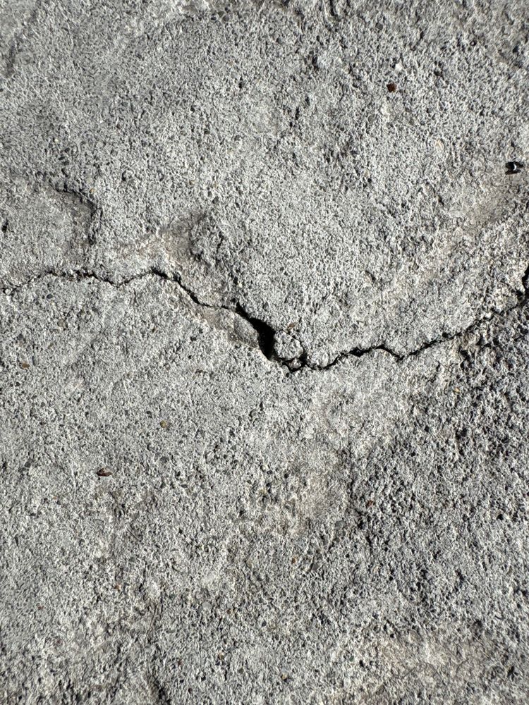 HJ TREE & LANDSCAPE - Updated January 2026 - 40 Photos & 53 Reviews ...