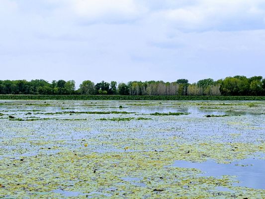 STERLING STATE PARK - Updated August 2024 - 101 Photos & 38 Reviews ...