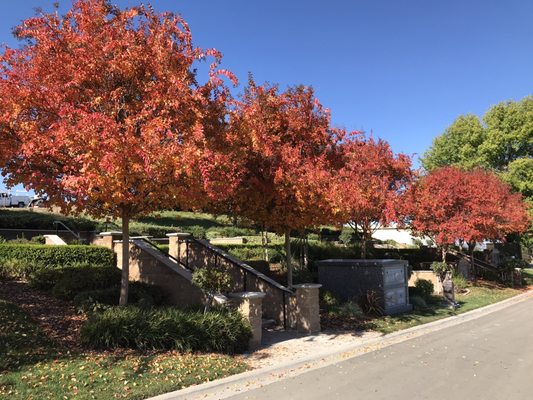 MONTECITO MEMORIAL PARK AND MORTUARY - Updated November 2025 - 211 ...