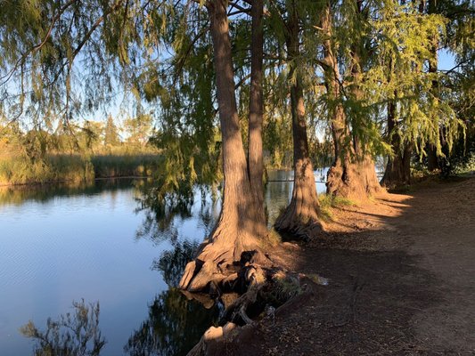 LODI LAKE NATURE TRAIL - Updated December 2024 - 203 Photos & 45 ...