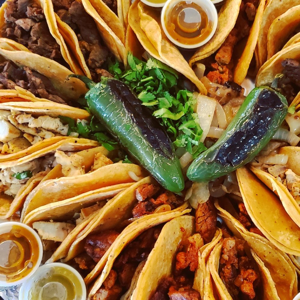 BULLY TACO CATERING - 15 Photos - Caterers - Dallas, TX - Phone Number ...