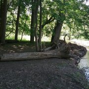 COMO LAKE PARK - 51 Photos & 18 Reviews - Parks - 2220 Como Park Blvd ...