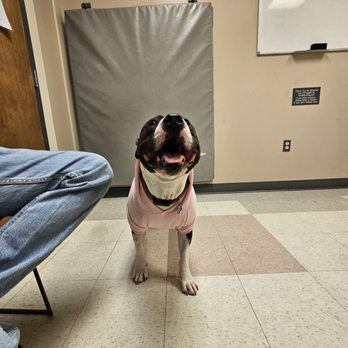 COLORADO STATE UNIVERSITY VETERINARY TEACHING HOSPITAL - Updated ...