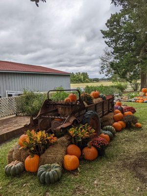 GEORGE RANCH HISTORICAL PARK - Updated September 2025 - 100 Photos & 45 ...