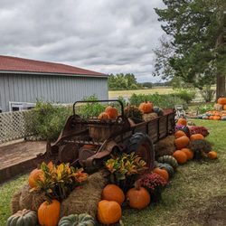 GEORGE RANCH HISTORICAL PARK - 99 Photos & 41 Reviews - 10215 Fm 762 ...
