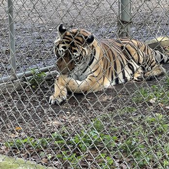 EVERGLADES OUTPOST - Updated June 2025 - 371 Photos & 102 Reviews ...