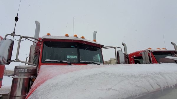 WAYNE TRANSPORTS INC. - Updated July 2025 - 115 Photos - 14345 Conley ...