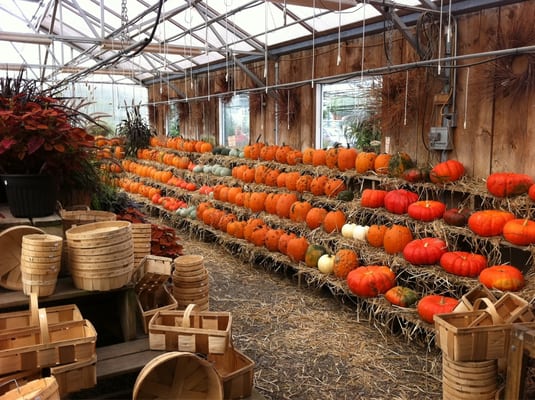 Tendercrop Farm - Book a Table - Updated November 2025 - 29 Photos - 93 ...