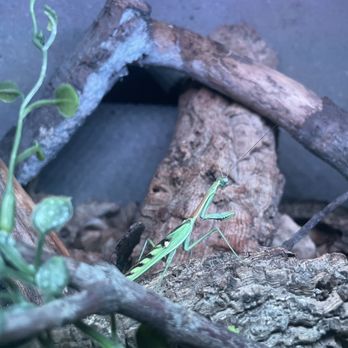 SNAKE DISCOVERY A REPTILE EXPERIENCE - Updated October 2025 - 44 Photos ...