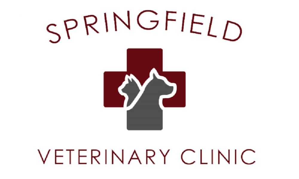 SPRINGFIELD VETERINARY CLINIC - Updated October 2025 - 19 Reviews ...