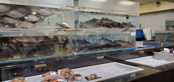 99 RANCH MARKET - 619 Photos & 365 Reviews - 1005 Blalock Rd, Houston ...