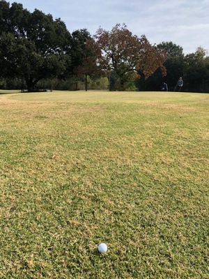 MELROSE GOLF CLUB - 17 Reviews - 401 Canino Rd, Houston, Texas - Golf ...