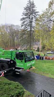 IRON TREE SERVICE - Updated June 2026 - 27 Photos & 58 Reviews - 64 ...