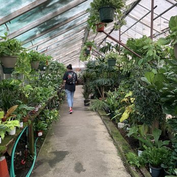 ENCINAL NURSERY - Updated August 2024 - 308 Photos & 187 Reviews - 2057 ...