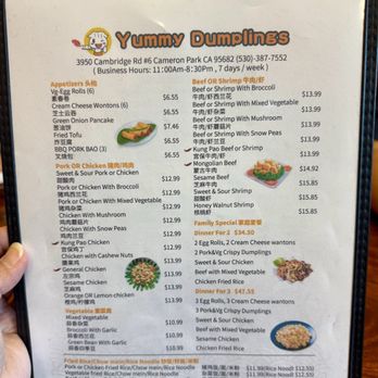 YUMMY DUMPLINGS - Updated December 2025 - 247 Photos & 425 Reviews ...