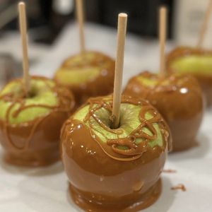 BUSH NECK FARM - Updated December 2025 - 14 Photos - 1502 Bush Neck Rd ...