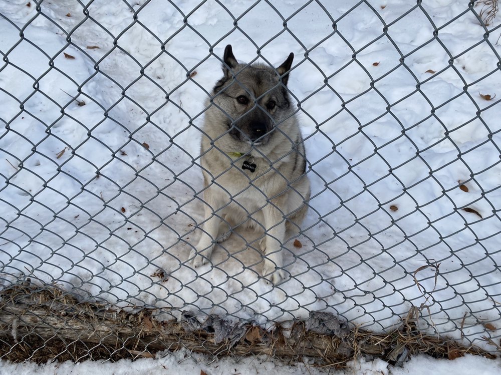 SNOW VALLEY - Updated December 2025 - 33 Photos & 21 Reviews - 119 ...