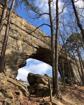 NATURAL BRIDGE STATE PARK - Updated February 2025 - 583 Photos & 76 ...