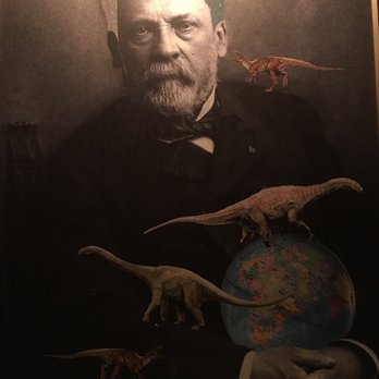 THE ESCAPOLOGIST - Updated March 2025 - 69 Photos & 22 Reviews - 35 ...