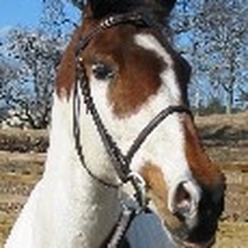 NEVINS FARM AND EQUINE CENTRE - Updated December 2025 - 38 Reviews ...