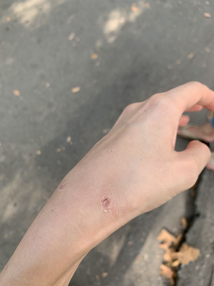 ROSENWASSER MELVIN MD - Updated July 2025 - 16 E 60th St, New York, New ...