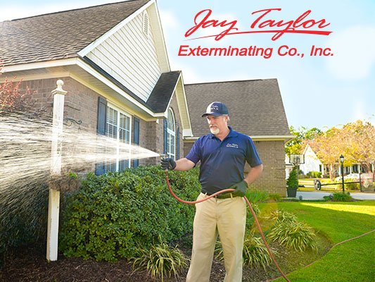 JAY TAYLOR EXTERMINATING - Updated March 2026 - 11 Photos & 11 Reviews ...
