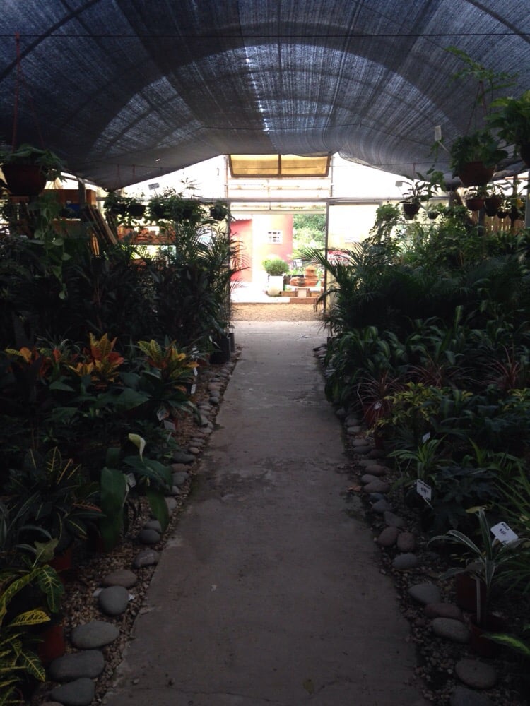 VIVERO AGRONOMIA - Updated April 2024 - Av. Francisco Beiro 2424 ...