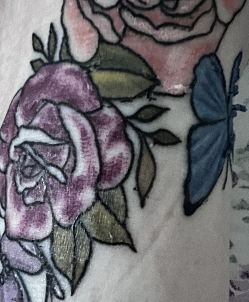 POISON IVY INK - Updated June 2025 - 16 Photos & 10 Reviews - 9722 N ...