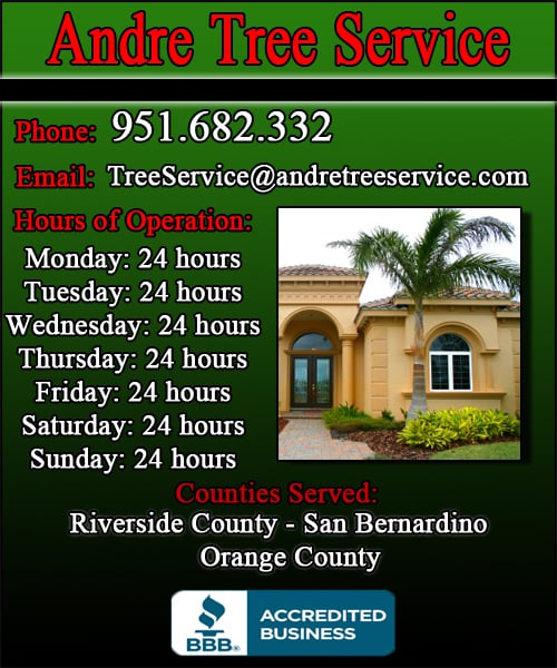 ANDRE TREE SERVICES - Updated December 2025 - 13 Photos & 13 Reviews ...