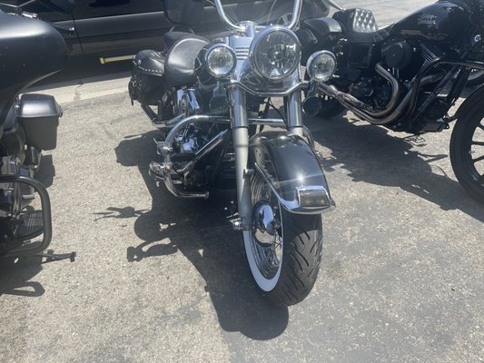 MATT CORTEZ CYCLES - Updated January 2026 - 46 Photos & 77 Reviews ...