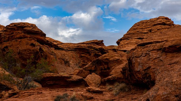 RED CLIFFS DESERT RESERVE - Updated August 2025 - 112 Photos & 19 ...