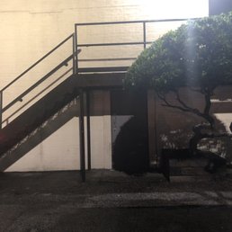 MARFRELESS - Updated July 2025 - 80 Photos & 166 Reviews - 2006 Peden ...