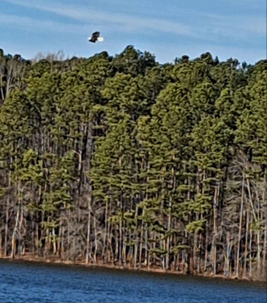 LAKE DEVIN - Updated October 2025 - 20 Photos - Lake Devin Rd, Oxford ...