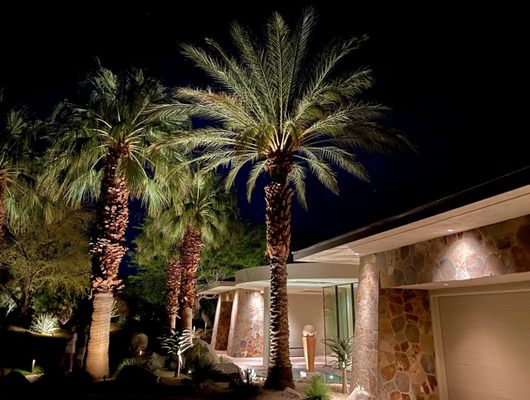 DESERTSCAPE DESIGN - Updated December 2025 - 97 Photos - Palm Desert ...