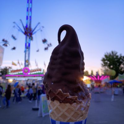 SACRAMENTO COUNTY FAIR - 315 Photos & 48 Reviews - 1600 Exposition Blvd ...