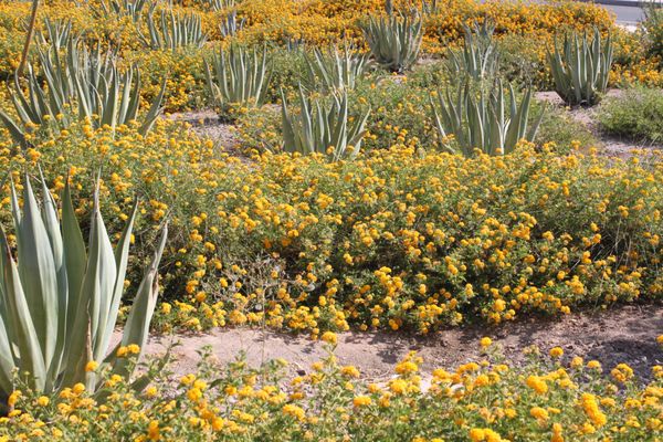 YUMA COUNTY MAIN LIBRARY - Updated January 2026 - 15 Photos & 15 ...
