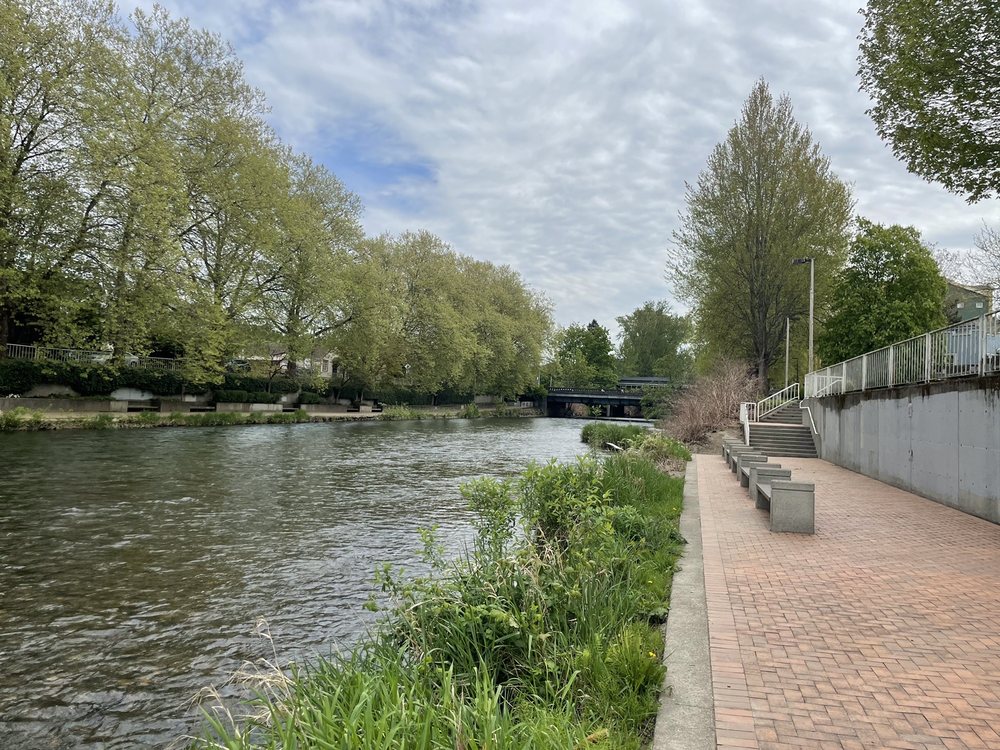 JONES PARK - Updated March 2025 - 17 Photos - 104 Wells Ave S, Renton ...